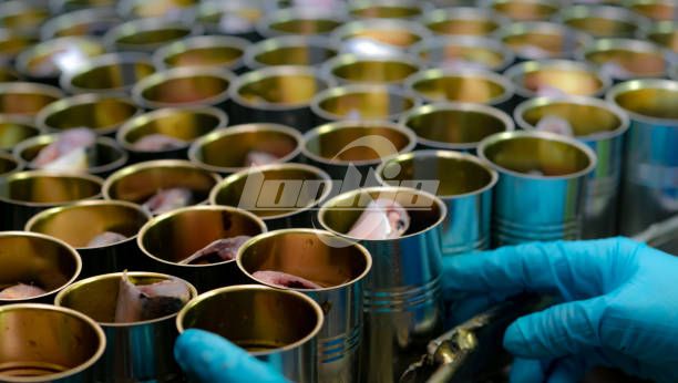 How Much Does a Canned Tuna Production Line Cost? - LONKIA Machinery