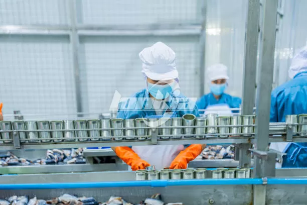 Customizable Canned Fish Production Lines for Different Fish Species ...